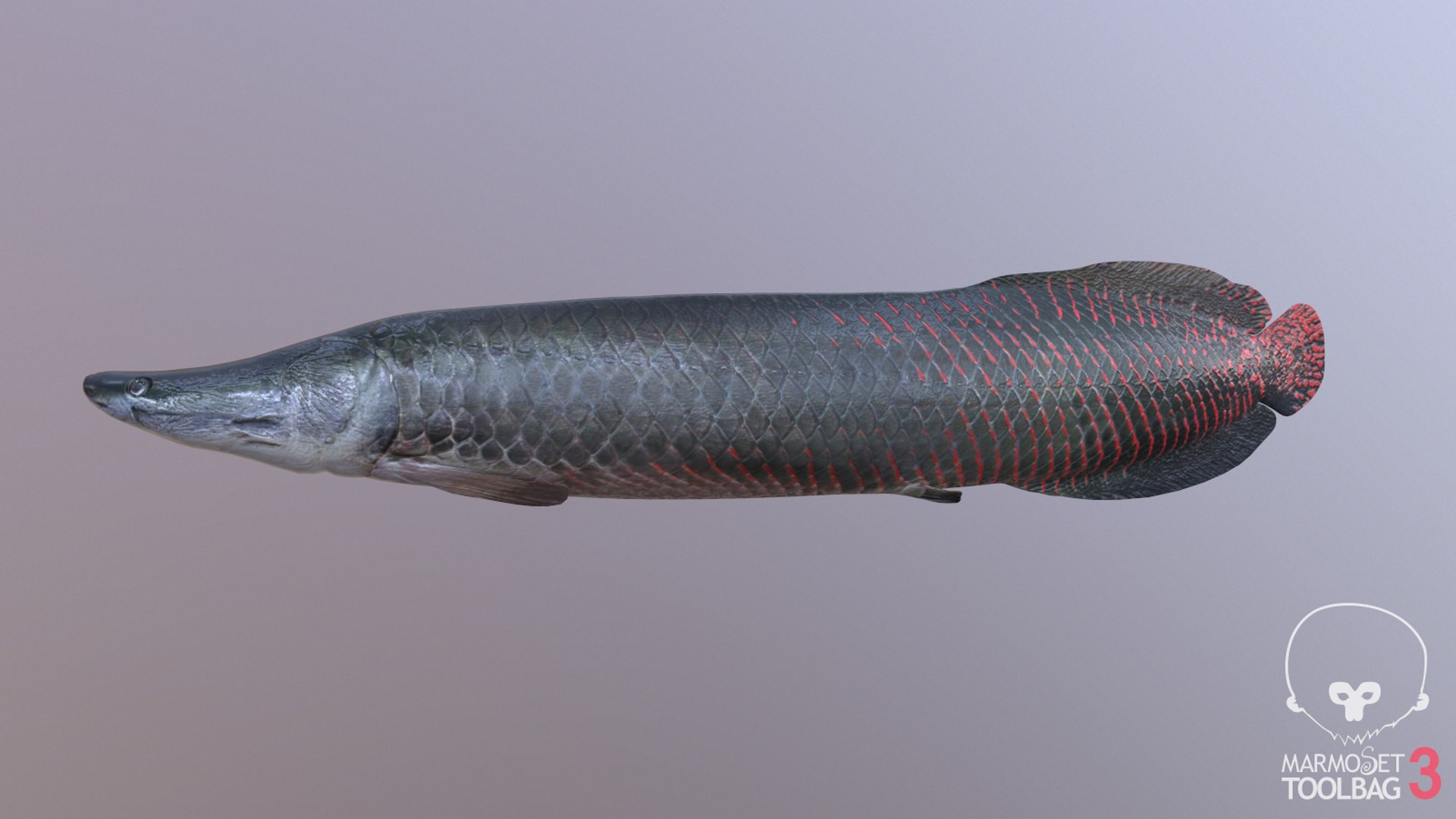 3D Arapaima Pbr Model - TurboSquid 1332100