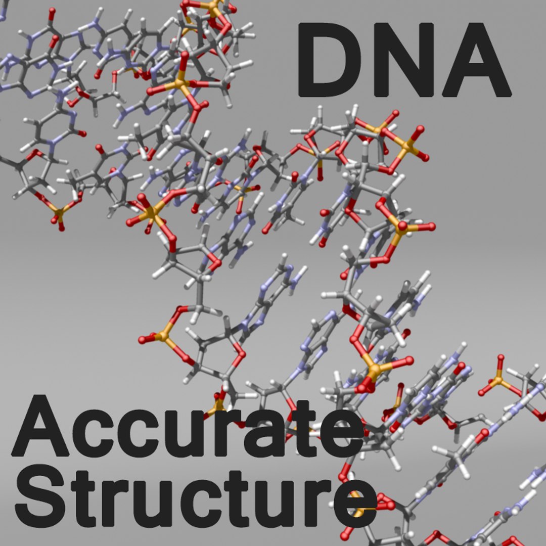 Maya Dna Molecule