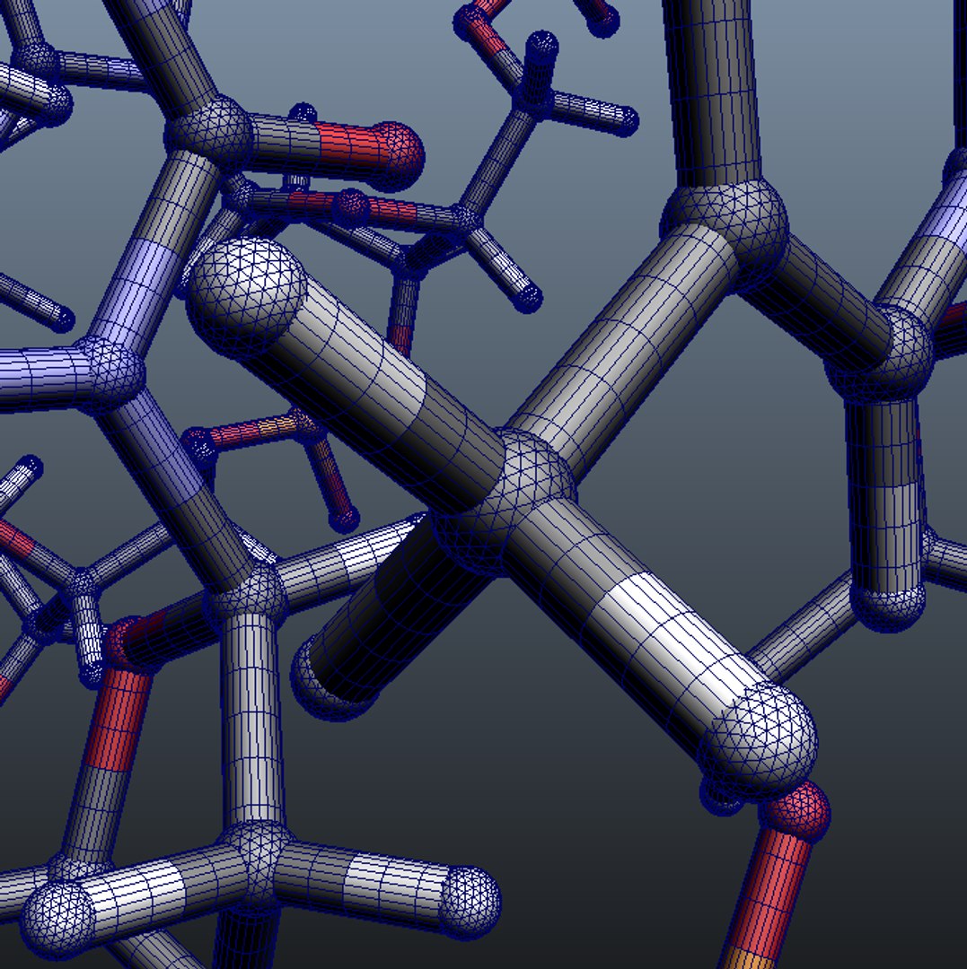 Maya Dna Molecule