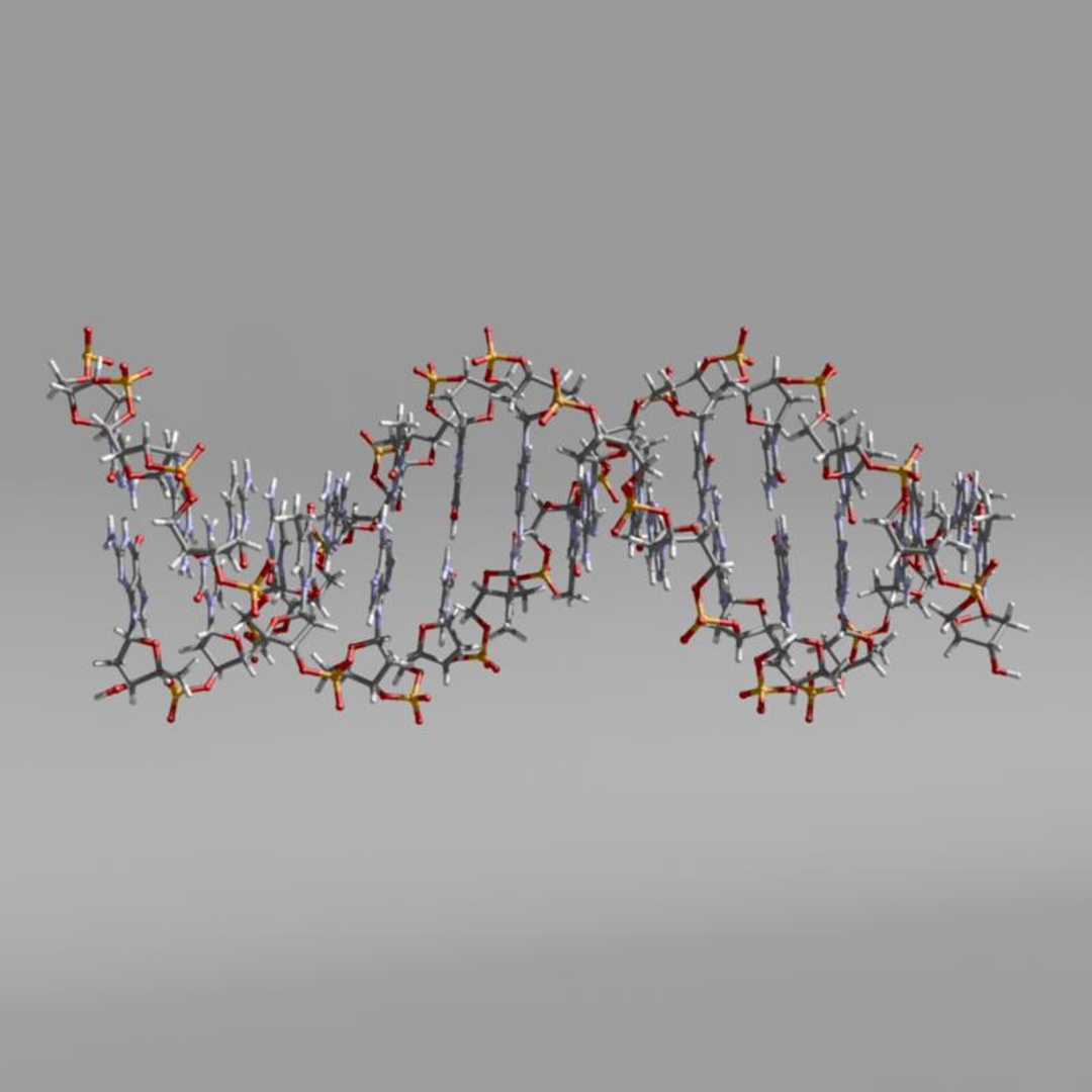 Maya Dna Molecule
