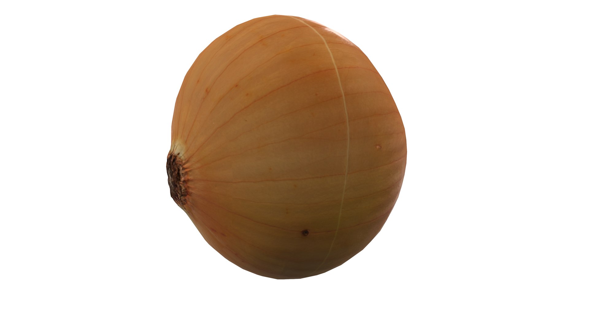 Onion Vegetable 3D Model AR VR PBR 3D - TurboSquid 1992194