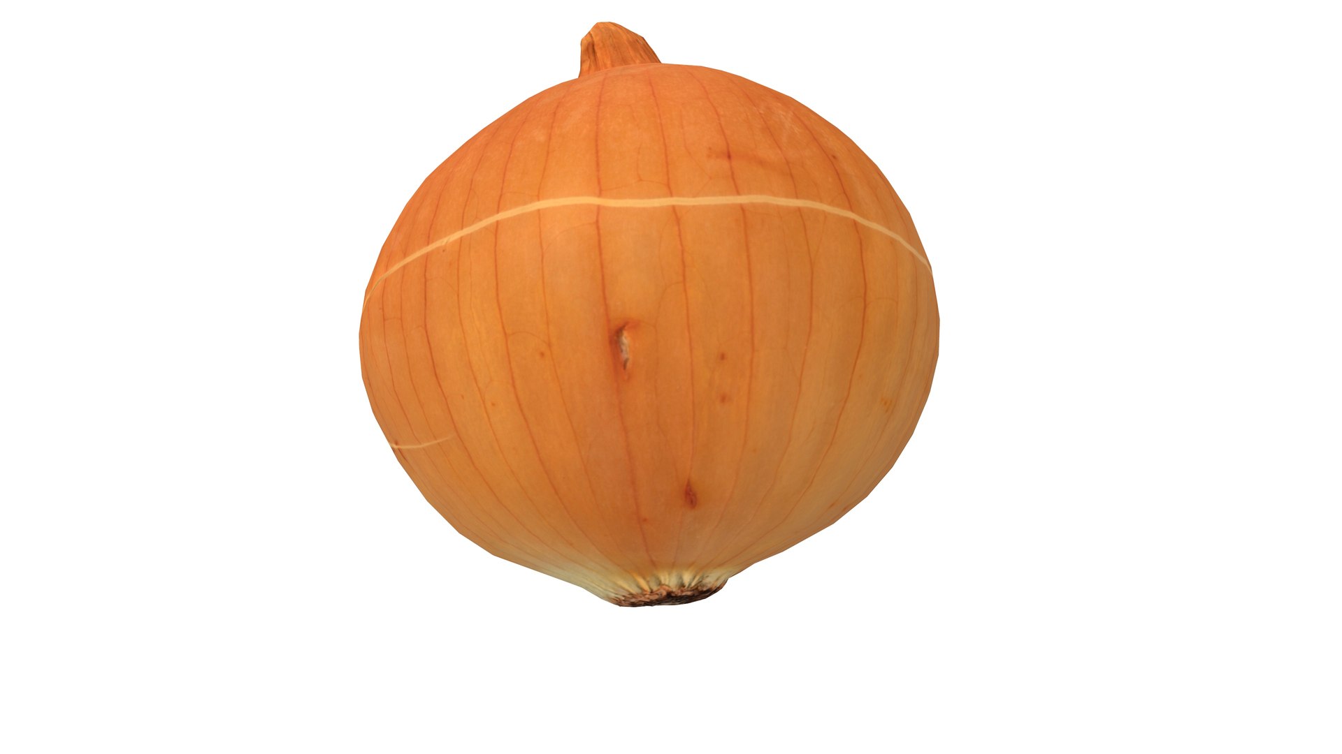 Onion Vegetable 3D Model AR VR PBR 3D - TurboSquid 1992194