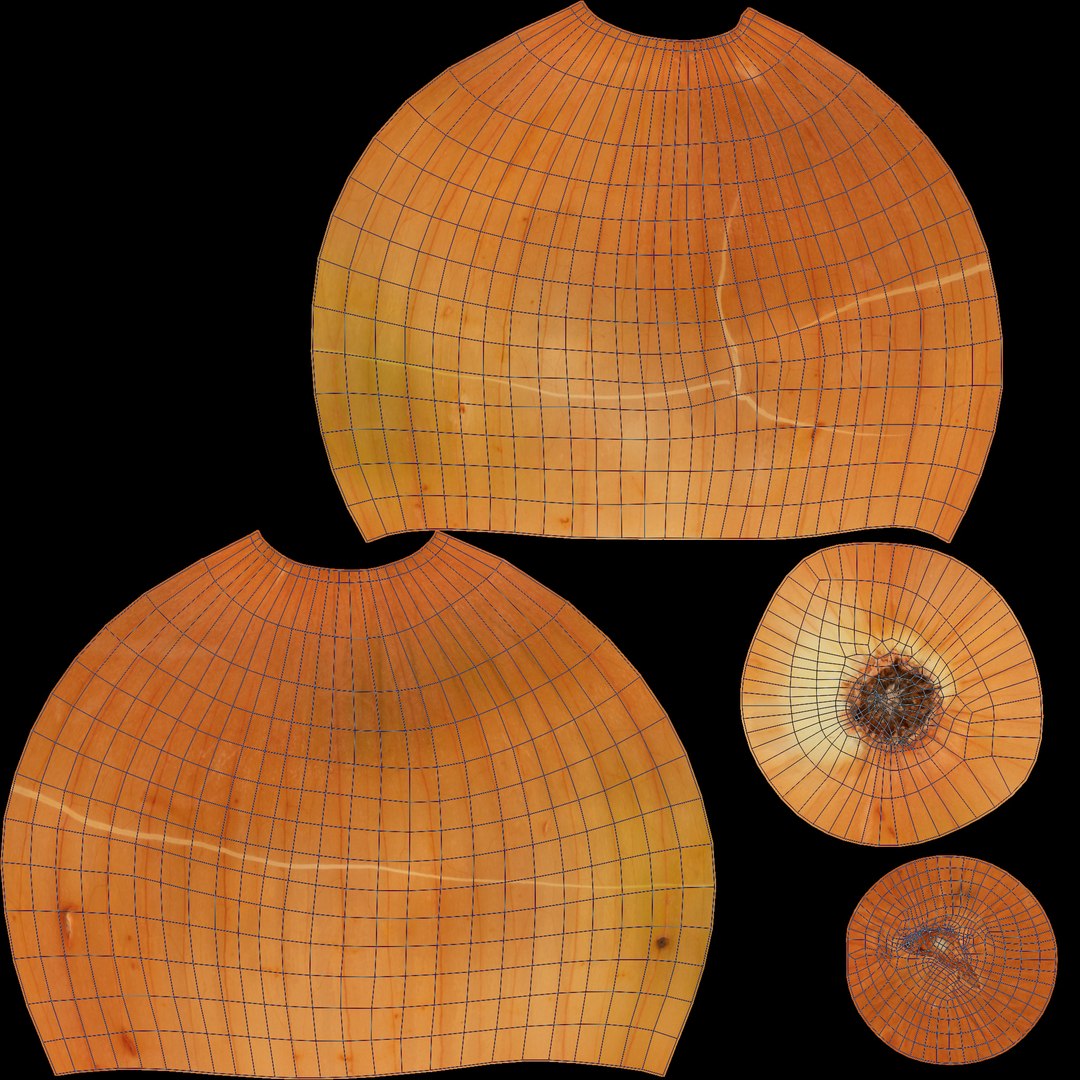 Onion Vegetable 3D Model AR VR PBR 3D - TurboSquid 1992194