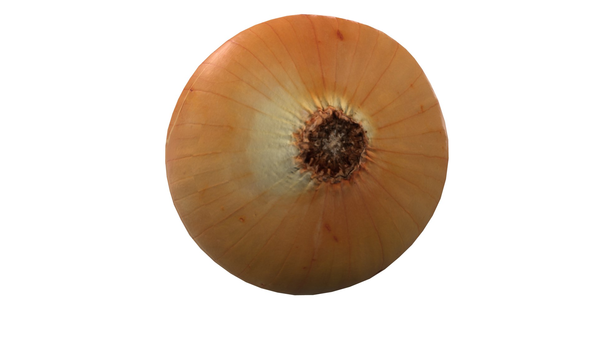 Onion Vegetable 3D Model AR VR PBR 3D - TurboSquid 1992194