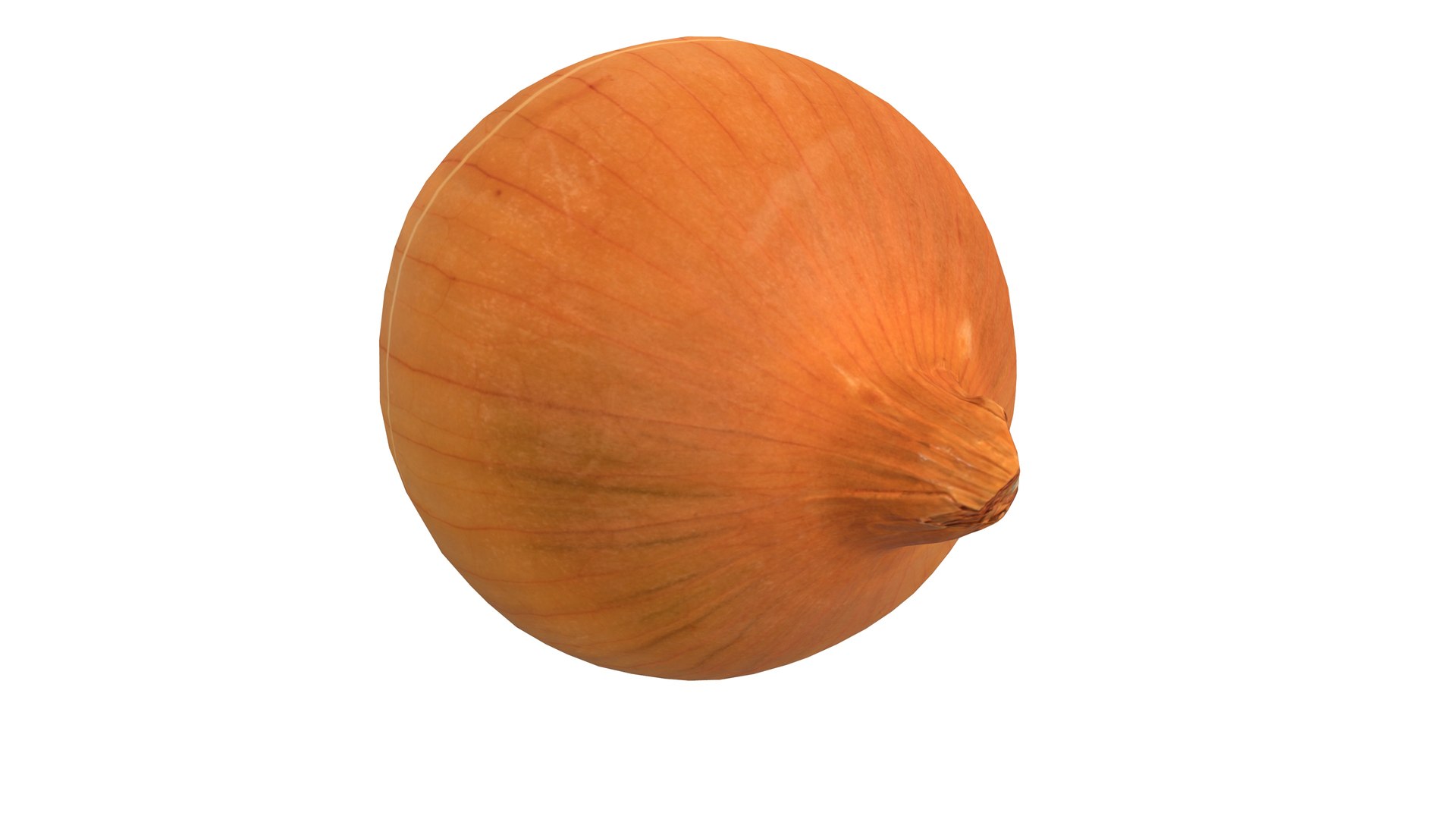 Onion Vegetable 3D Model AR VR PBR 3D - TurboSquid 1992194