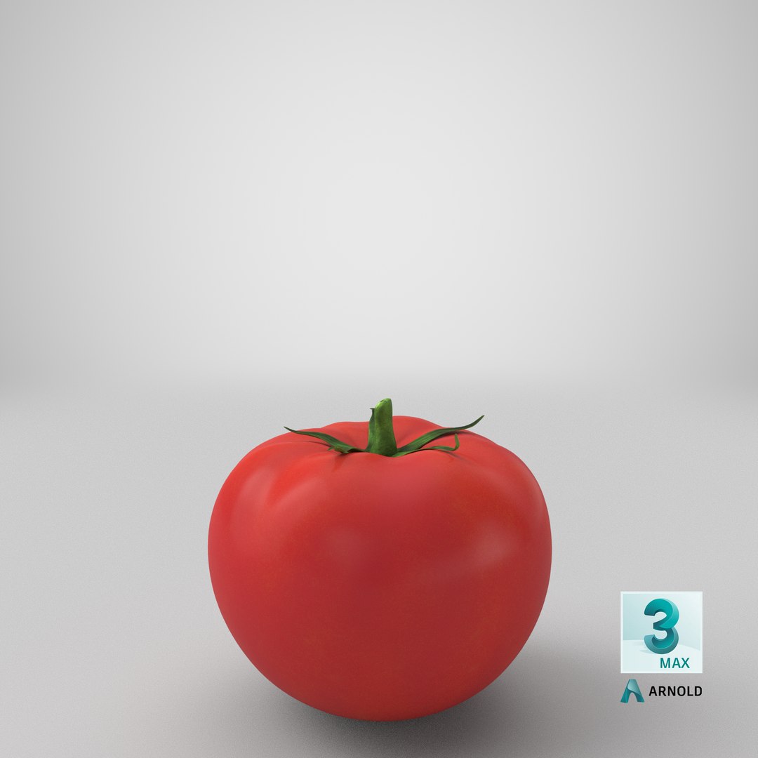 Tomato PBR 3D Model - TurboSquid 1926043