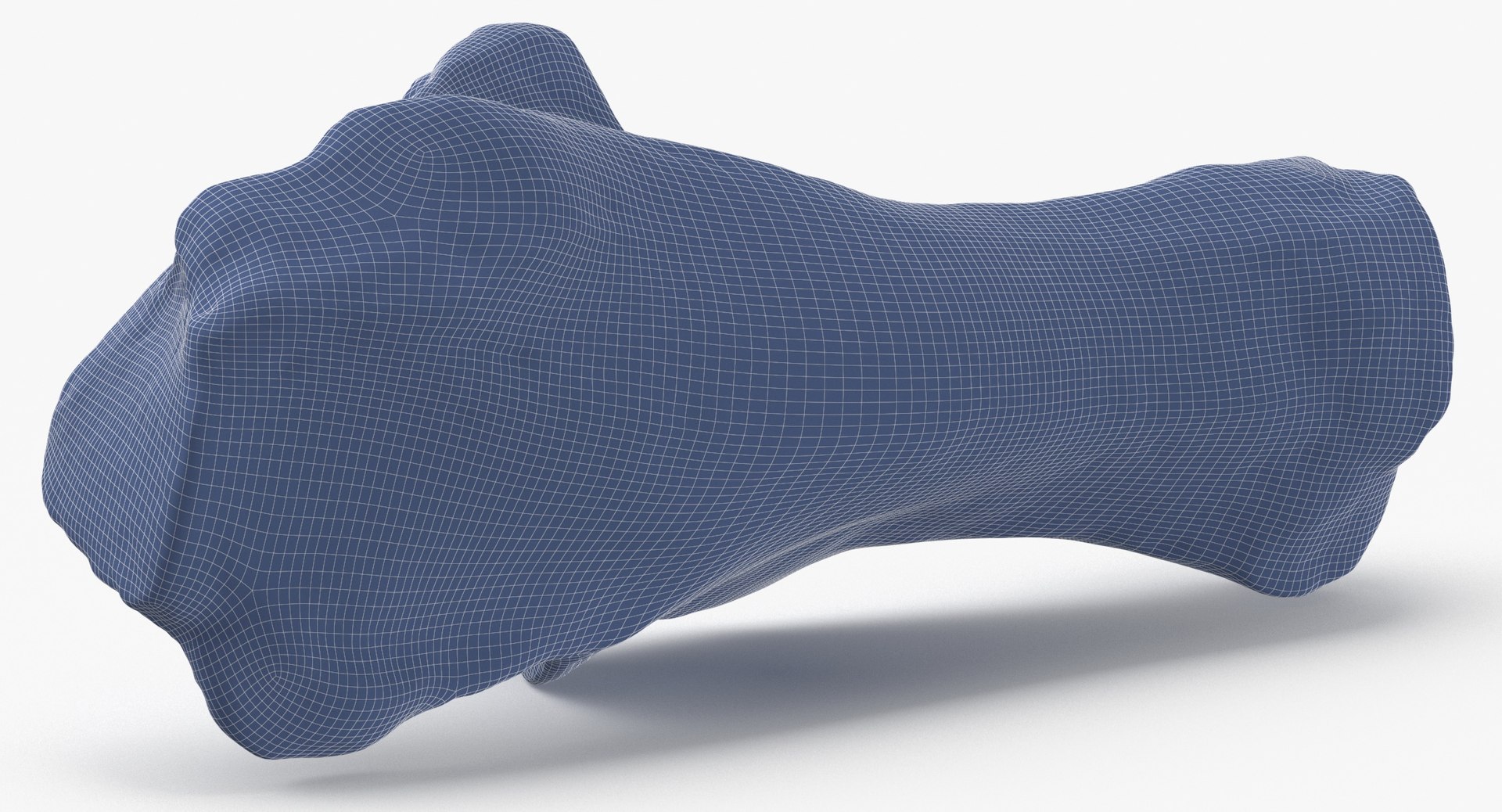 Domestic Cat Calcaneus Bone 01 3D Model - TurboSquid 1828880