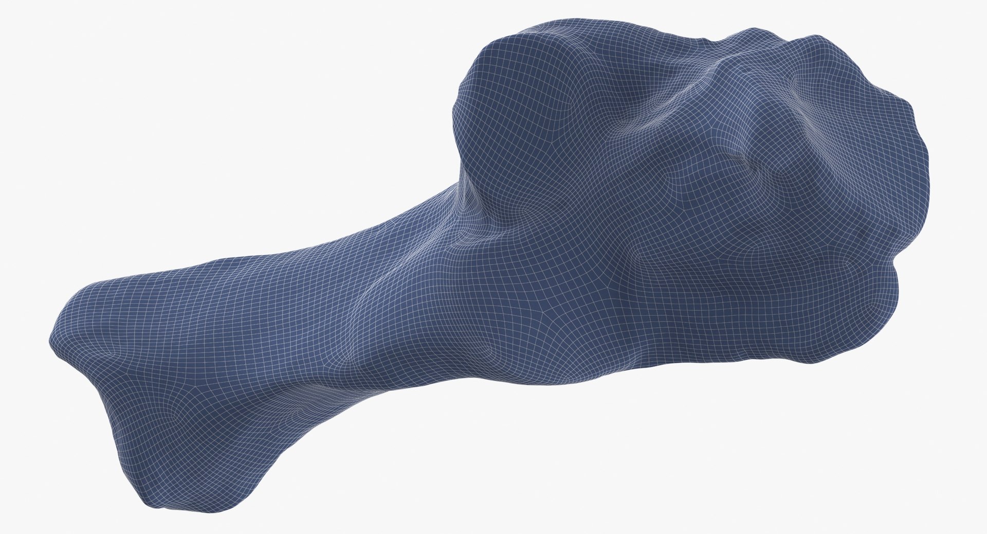 Domestic Cat Calcaneus Bone 01 3D model - TurboSquid 1828880