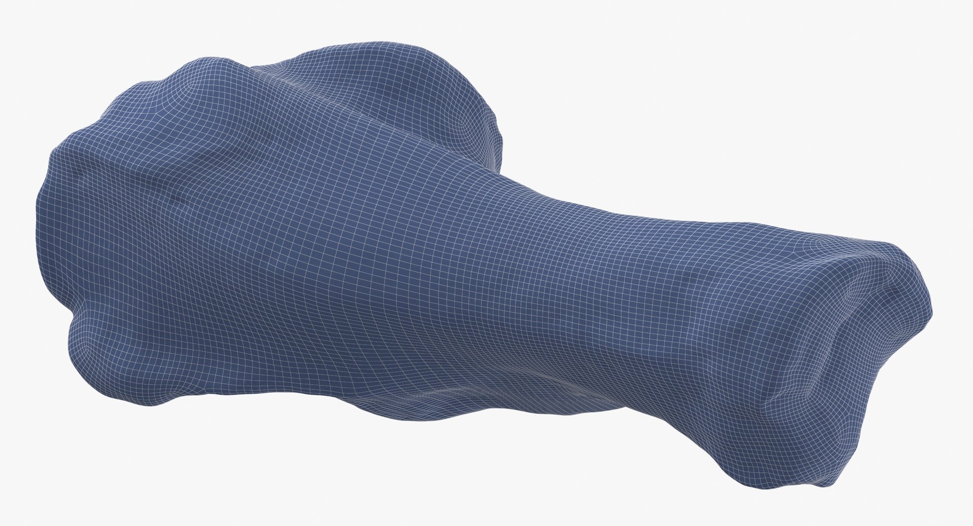 Domestic Cat Calcaneus Bone 01 3D model - TurboSquid 1828880