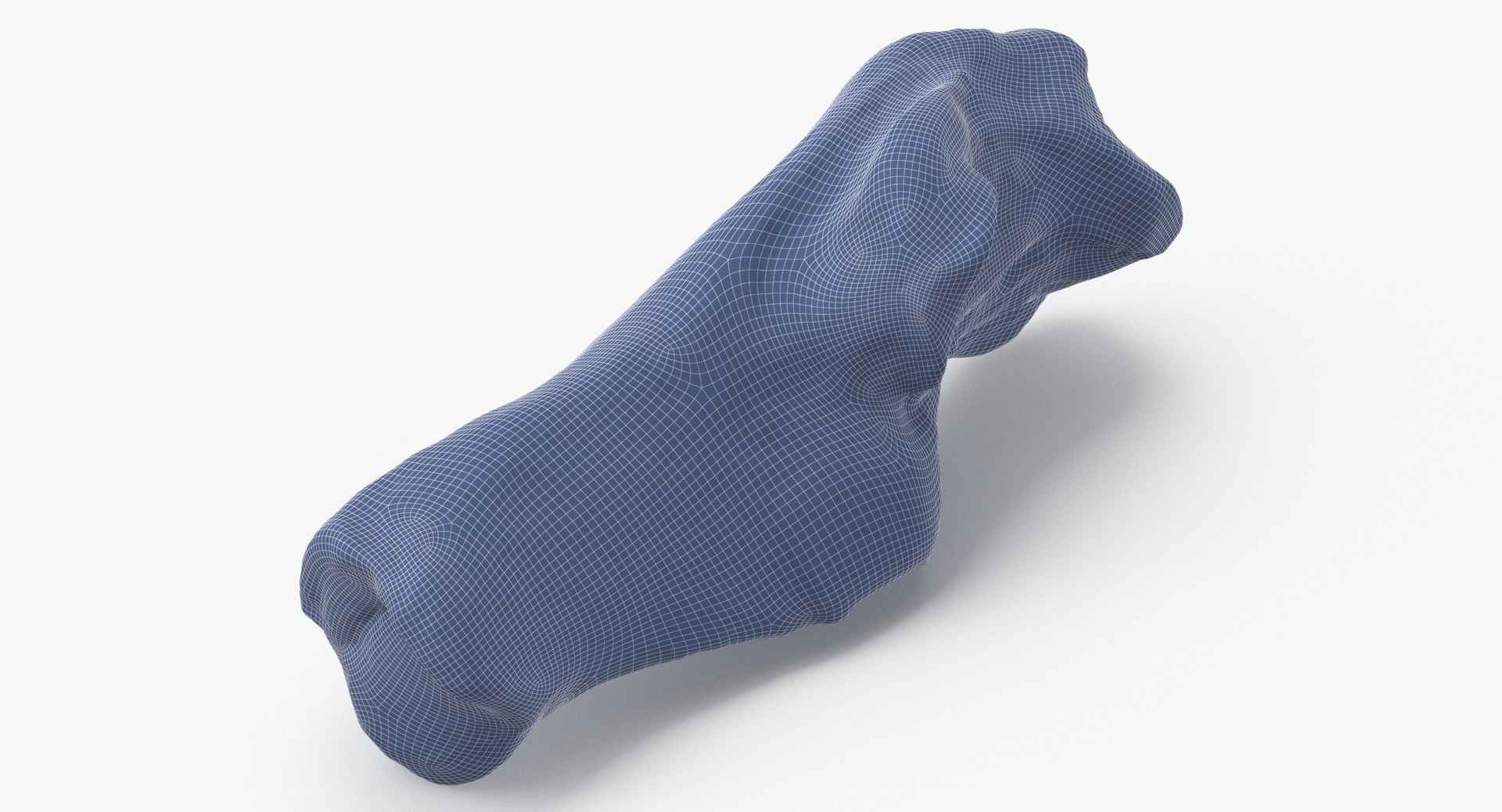 Domestic Cat Calcaneus Bone 01 3D Model - TurboSquid 1828880