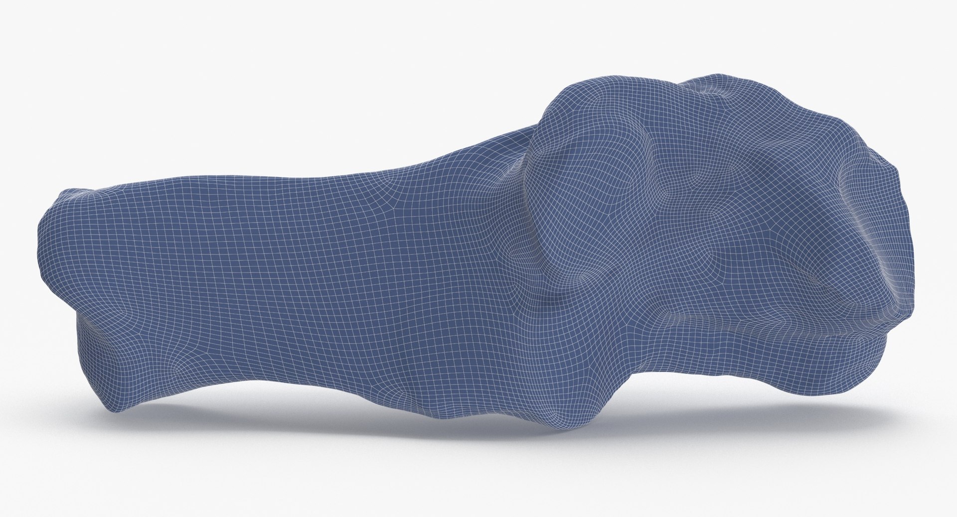 Domestic Cat Calcaneus Bone 01 3D Model - TurboSquid 1828880