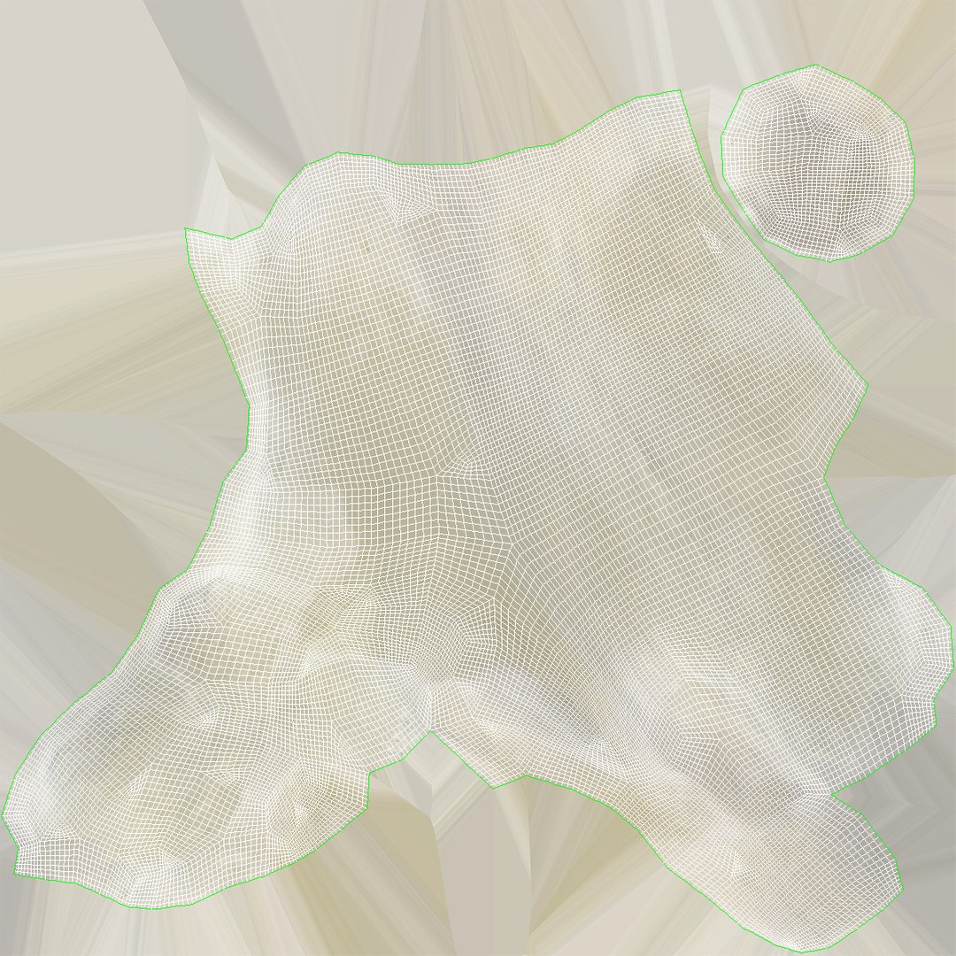 Domestic Cat Calcaneus Bone 01 3D model - TurboSquid 1828880