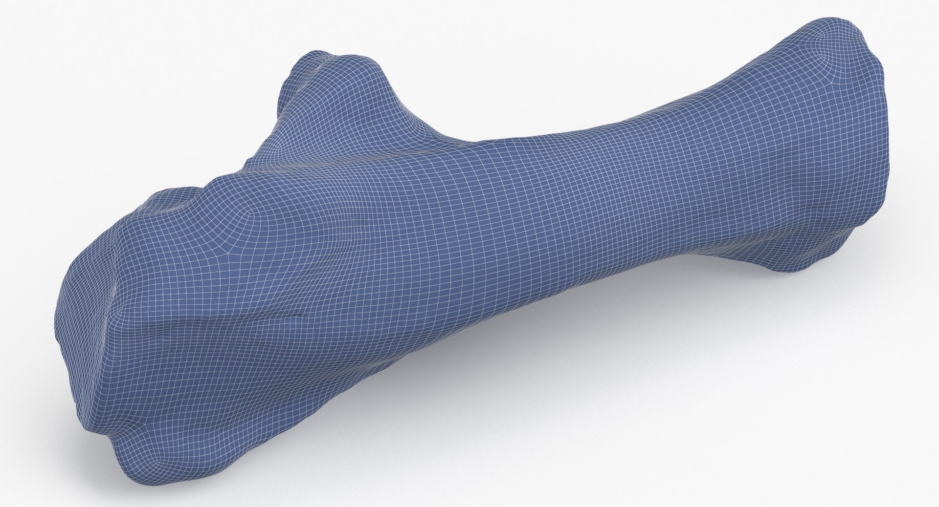 Domestic Cat Calcaneus Bone 01 3D Model - TurboSquid 1828880