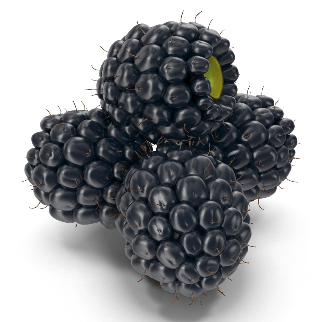 dewberry berry 3d model