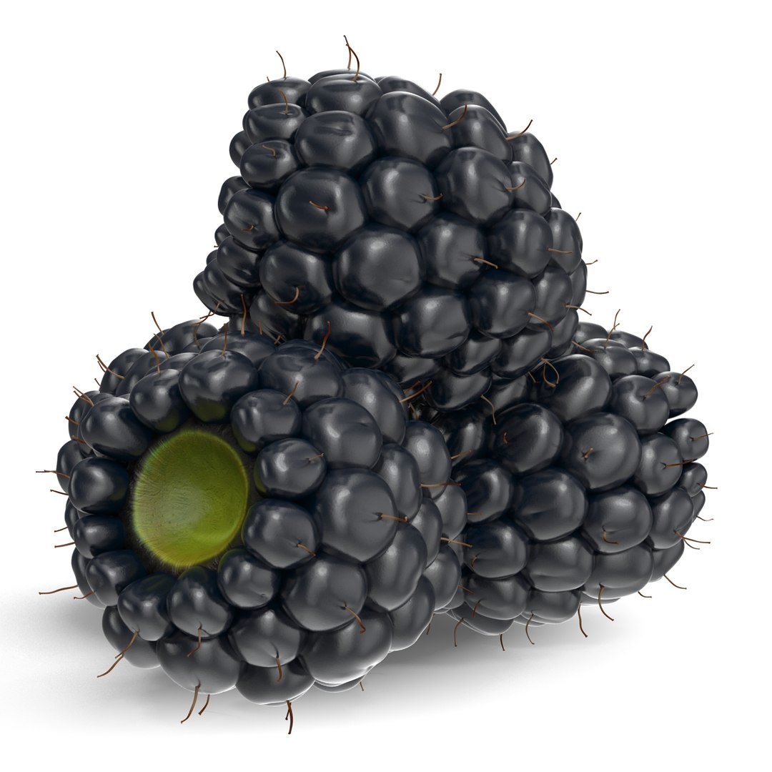 dewberry berry 3d model