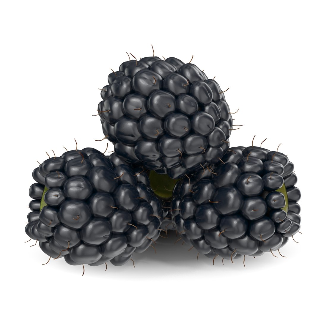 dewberry berry 3d model