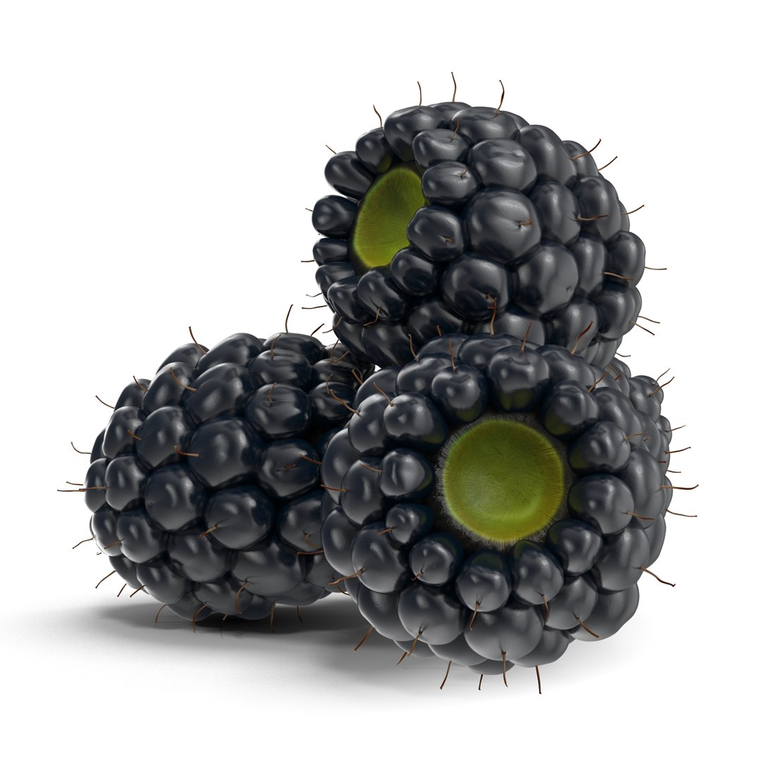 dewberry berry 3d model