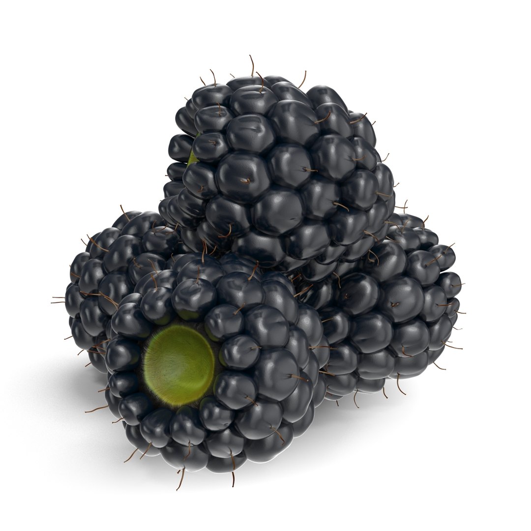 dewberry berry 3d model