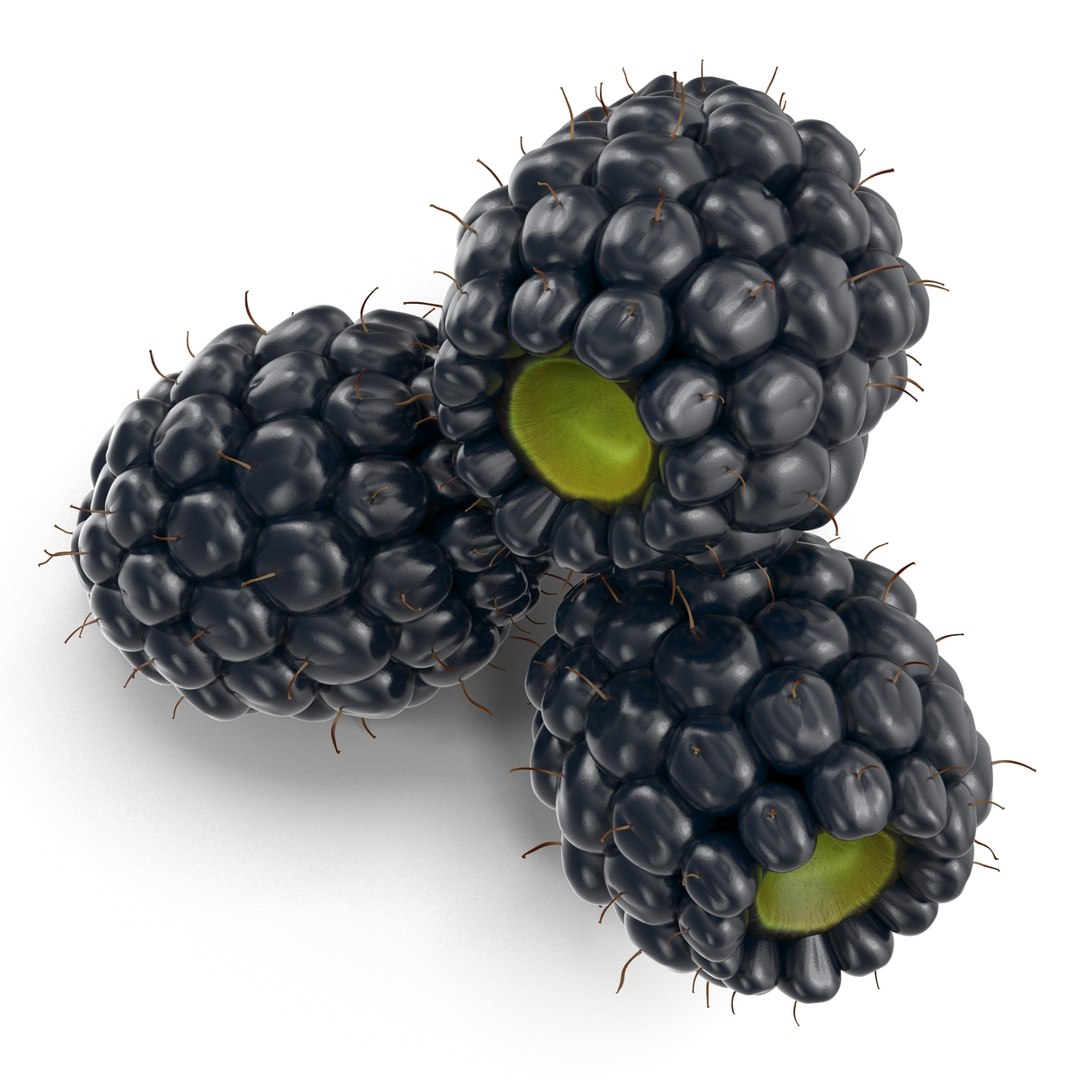dewberry berry 3d model