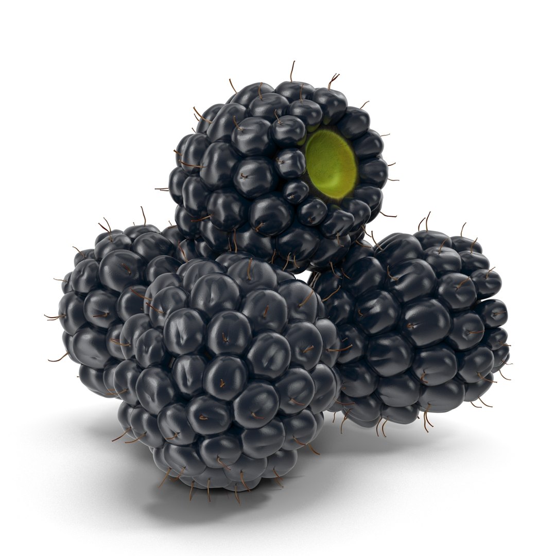dewberry berry 3d model