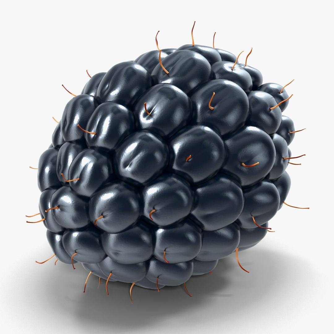 dewberry berry 3d model