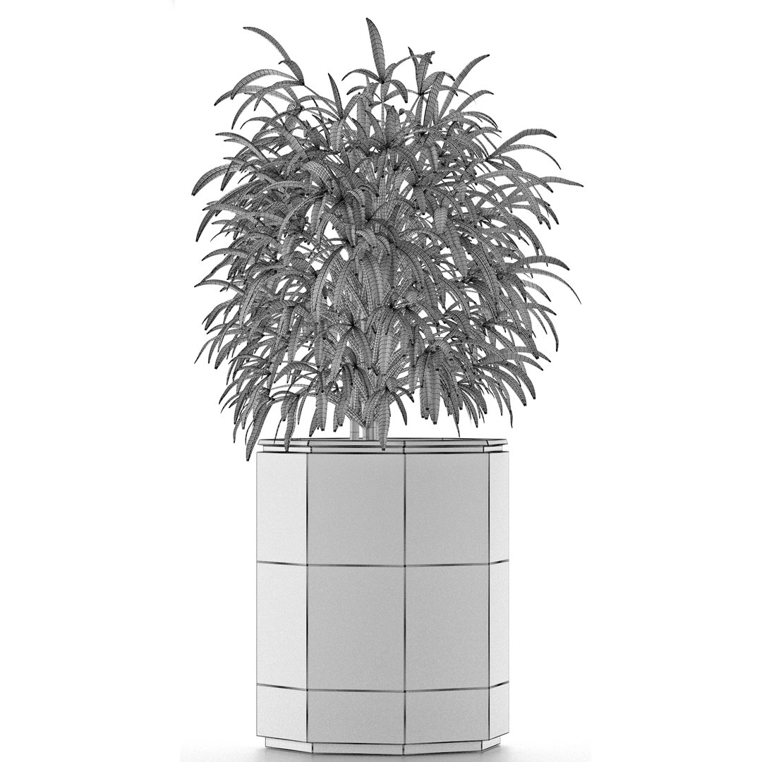 Single Plant 04 3D Model - TurboSquid 1586381