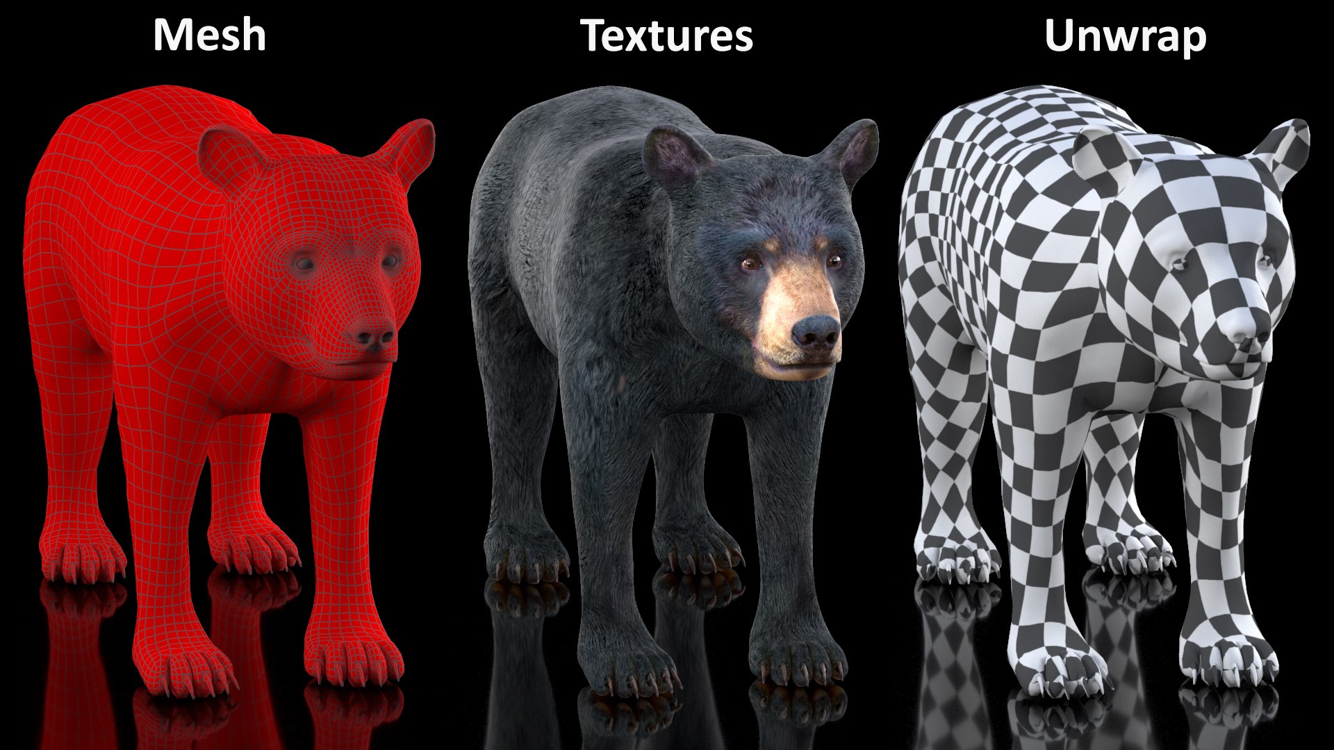 Young Black Bear Model - TurboSquid 2255003