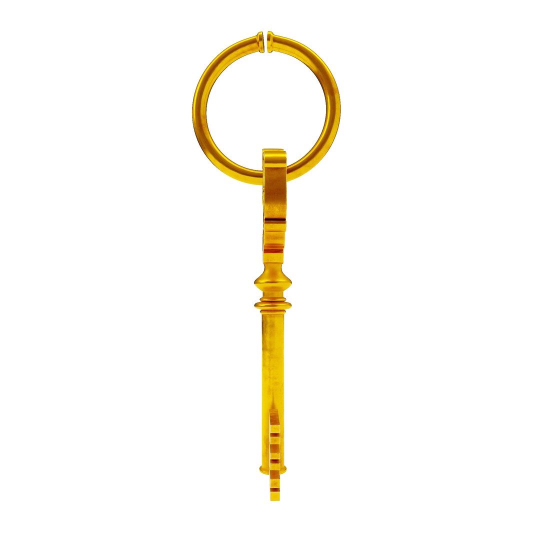3D Skeleton key with gold metal 3d model model - TurboSquid 1976950