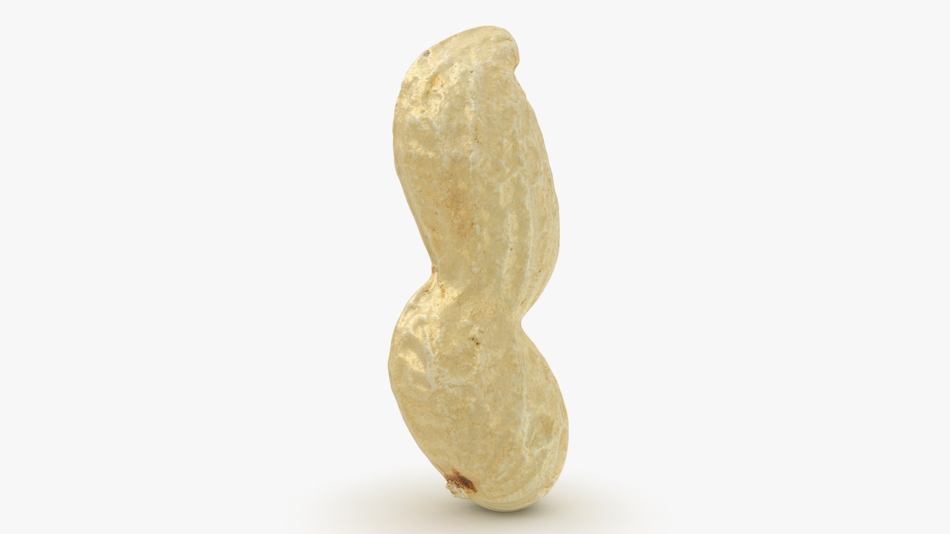 Open Peanut Shell 01 3D Model - TurboSquid 1955653