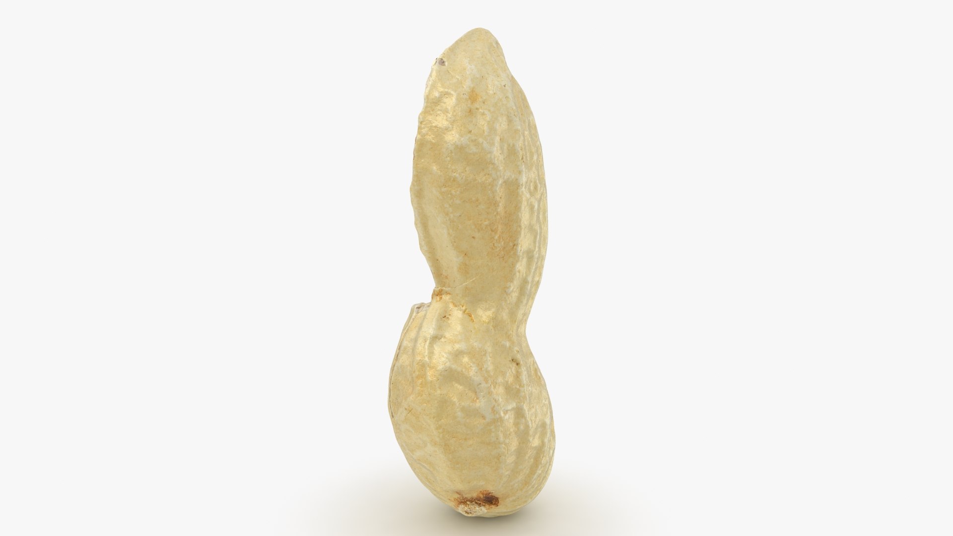 Open Peanut Shell 01 3D Model - TurboSquid 1955653