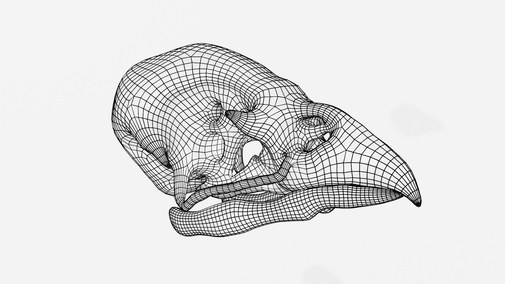 Sparrow Skull 3D - TurboSquid 1991007