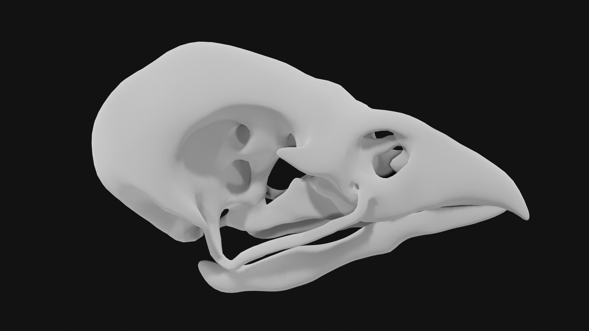 Sparrow Skull 3D - TurboSquid 1991007