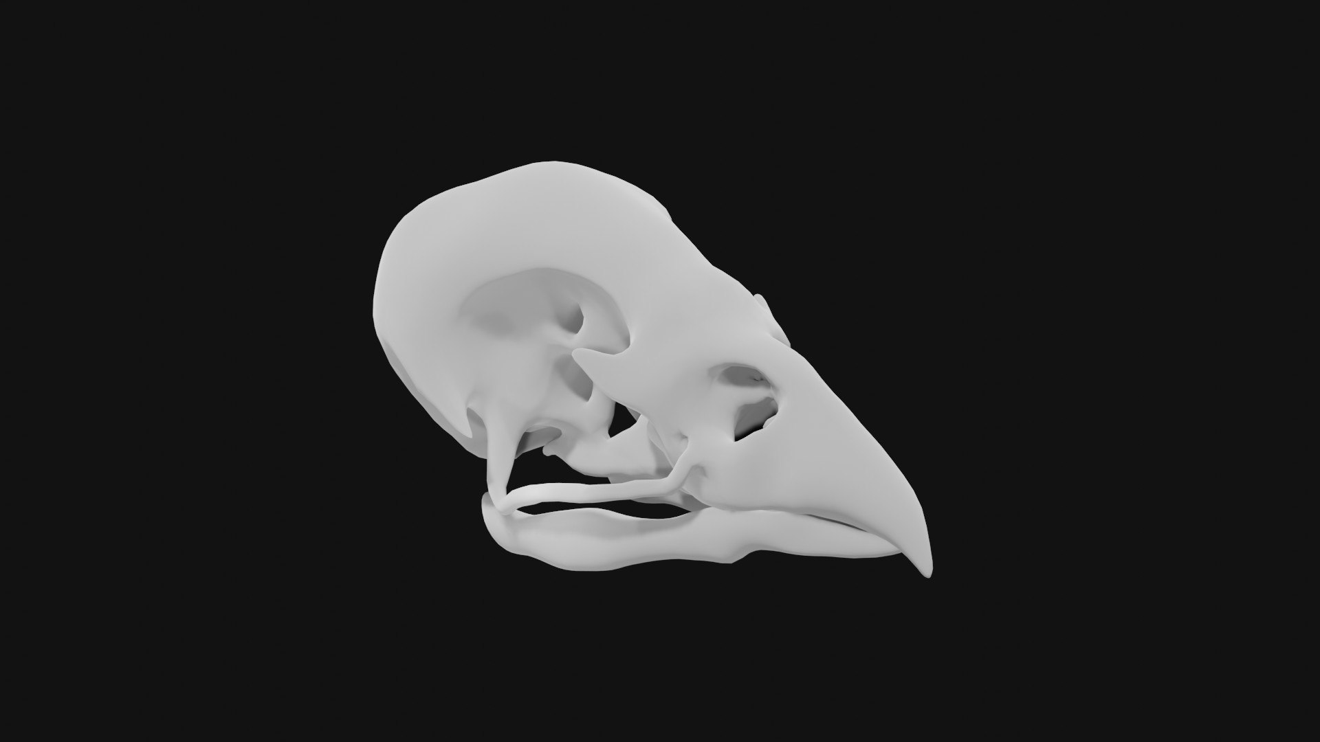 Sparrow Skull 3D - TurboSquid 1991007