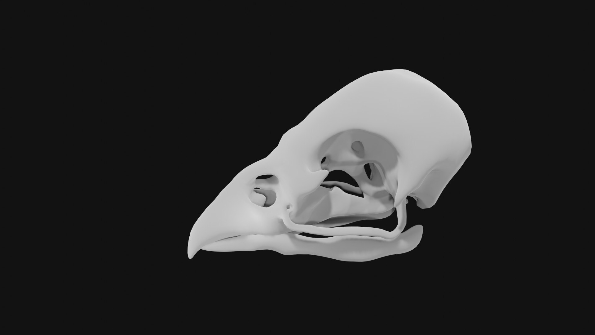 Sparrow Skull 3D - TurboSquid 1991007