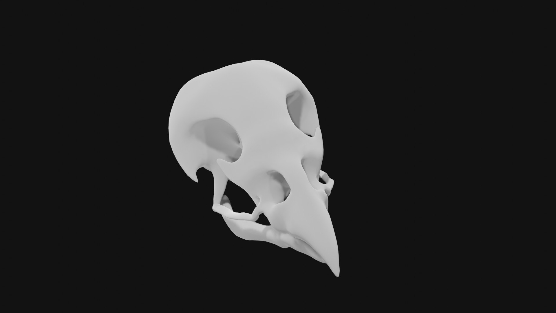 Sparrow Skull 3D - TurboSquid 1991007