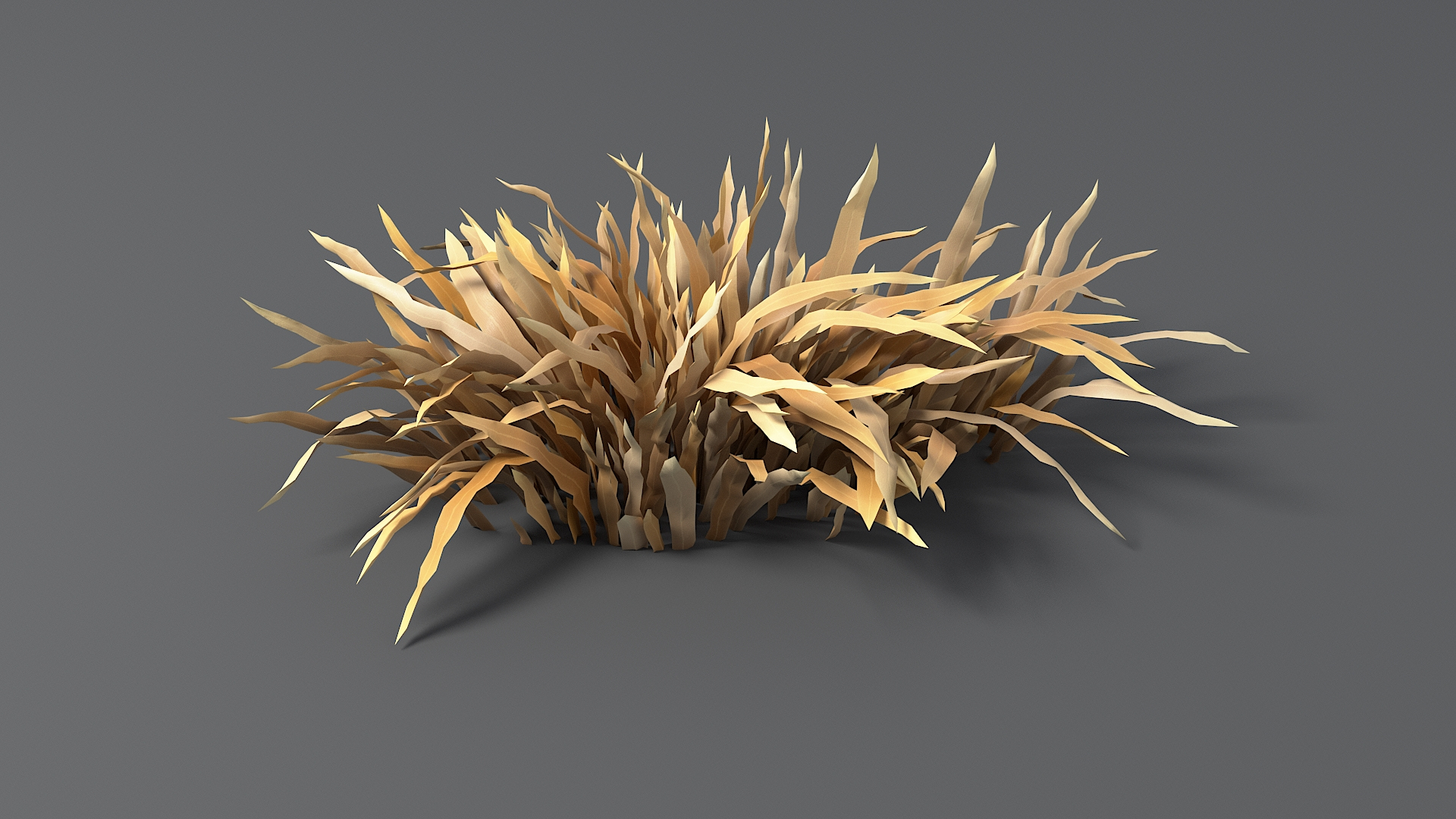 3D Cartoon Dry Grass 10 - TurboSquid 2047816