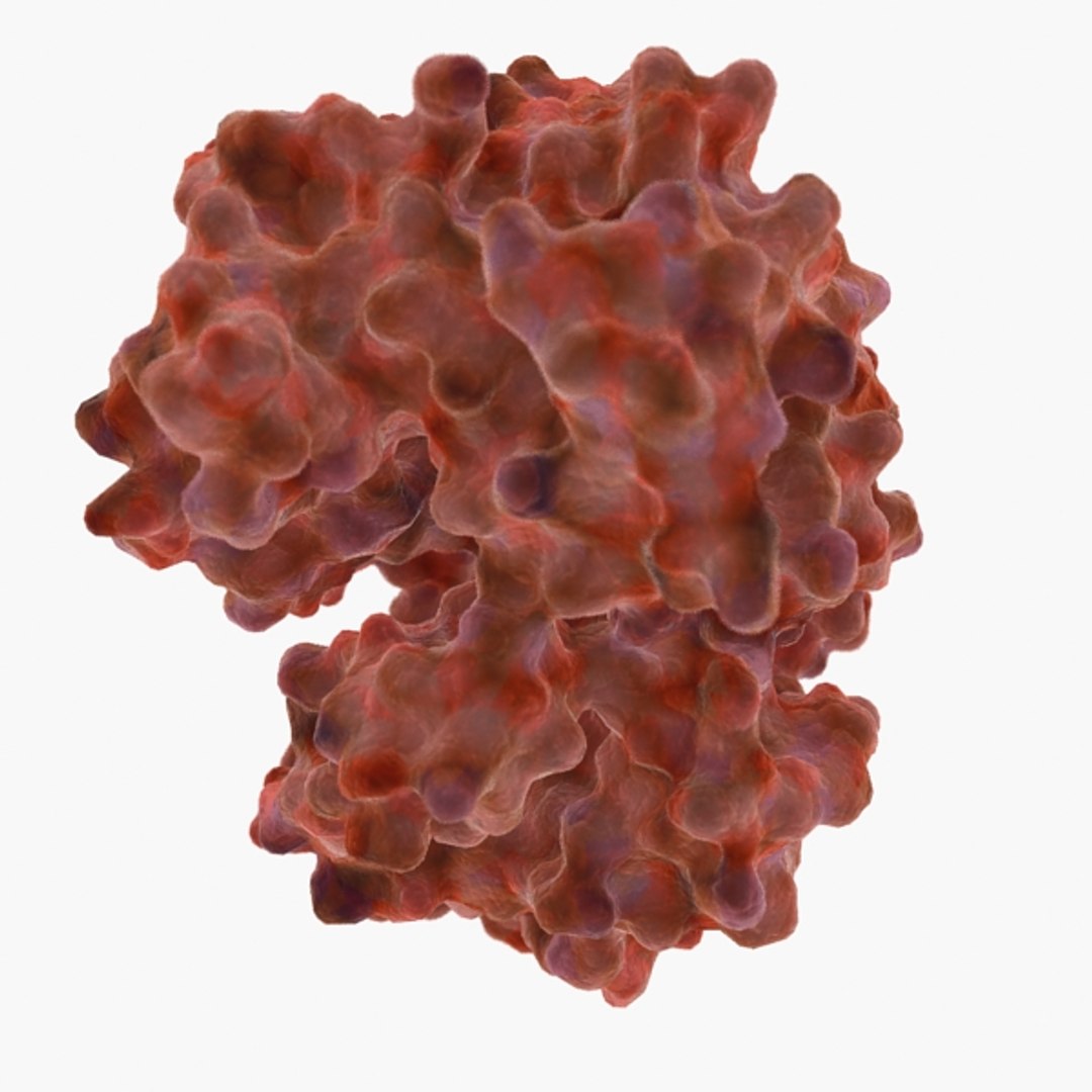 3d Hemoglobin Organic Cells