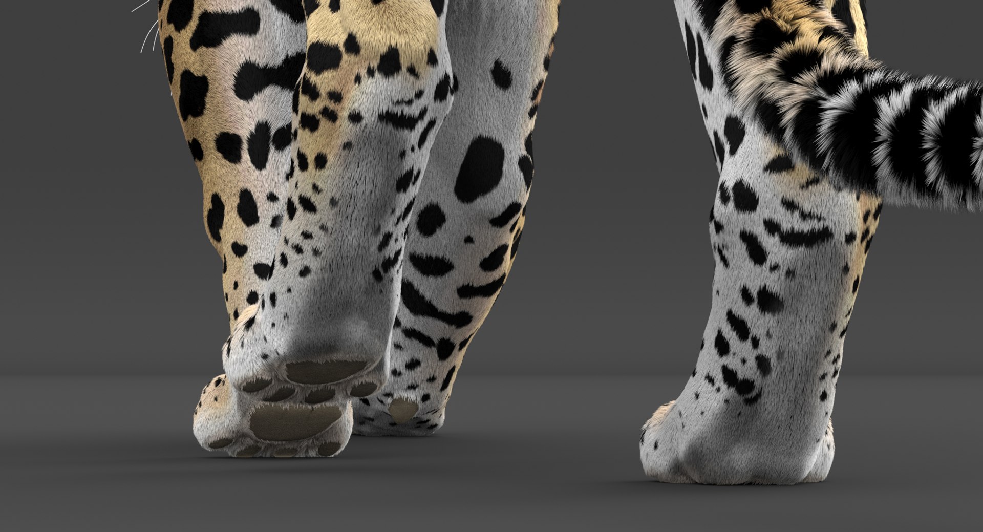 3D leopard fur model - TurboSquid 1408944
