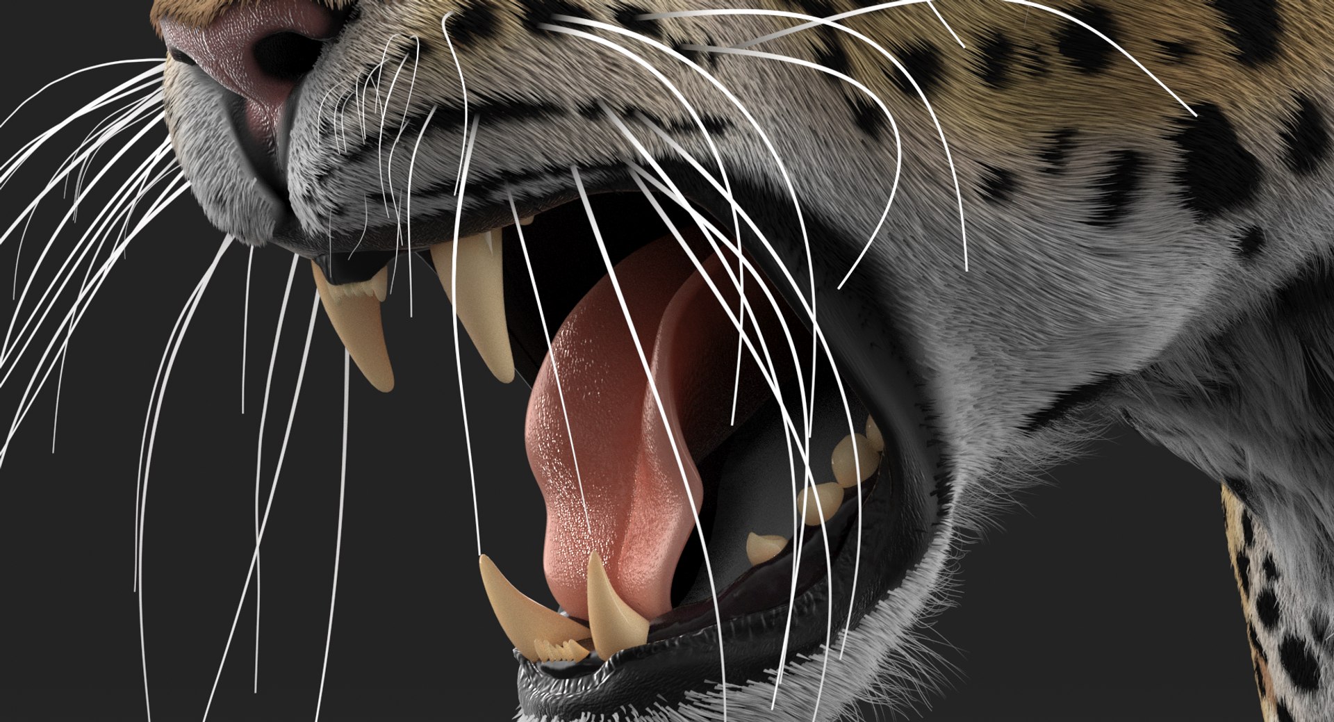 3D Leopard Fur Model - TurboSquid 1408944