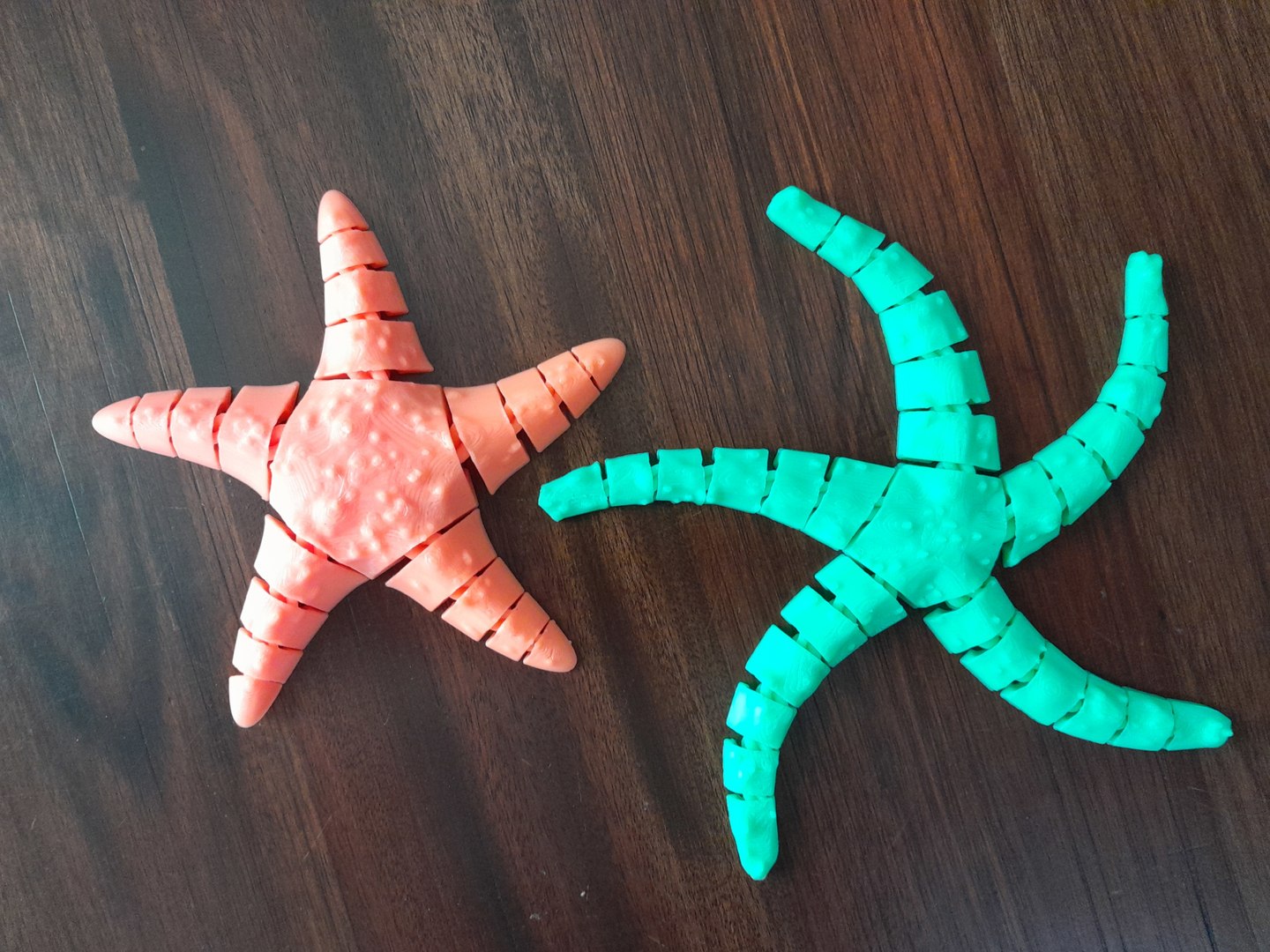 Flexy Starfish 3D Model - TurboSquid 2456651