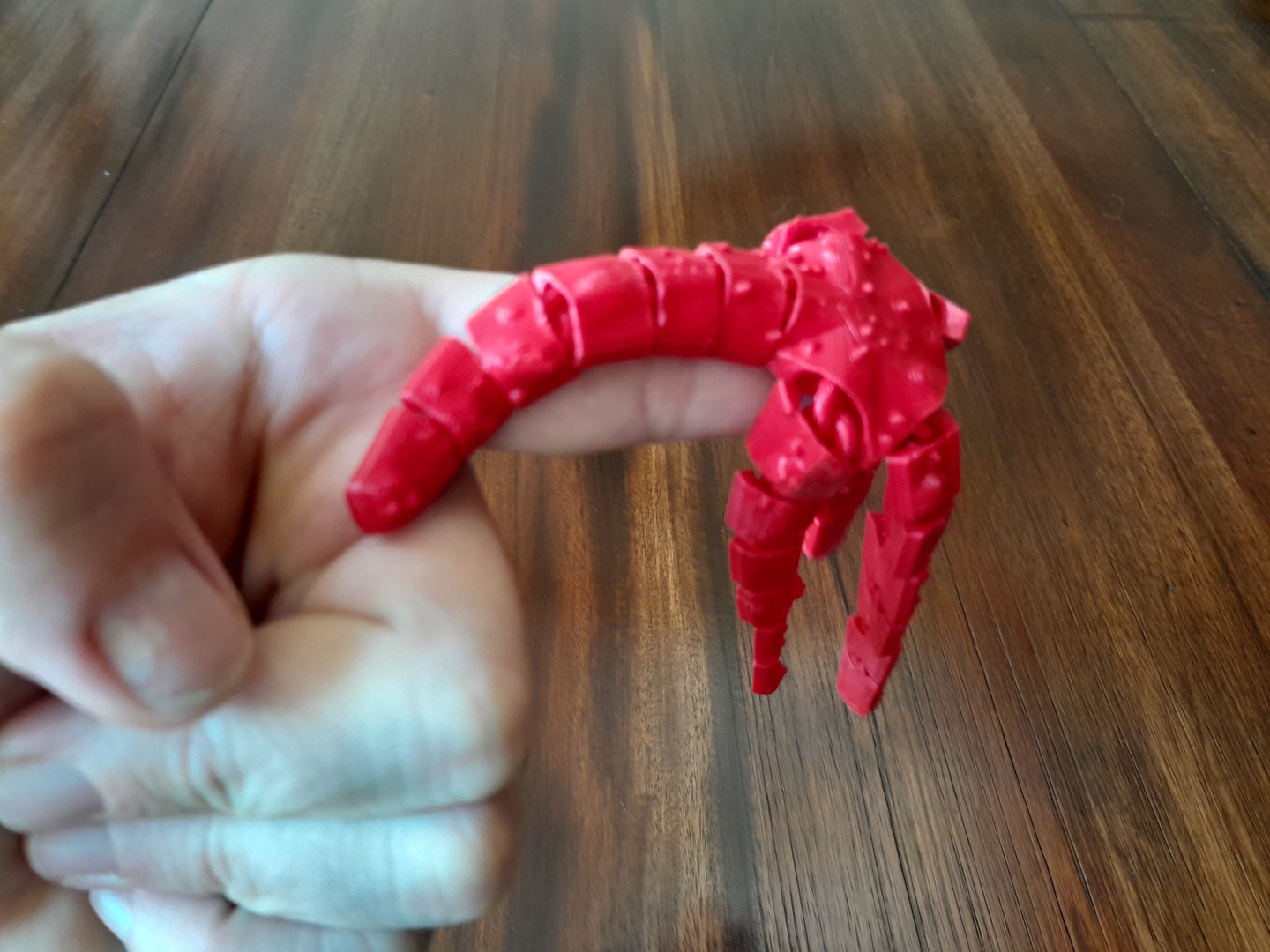 Flexy Starfish 3D Model - TurboSquid 2456651