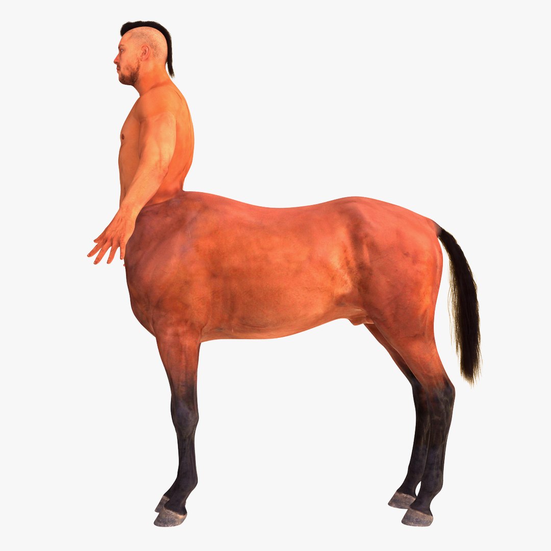 3d Model Centaur Rigged