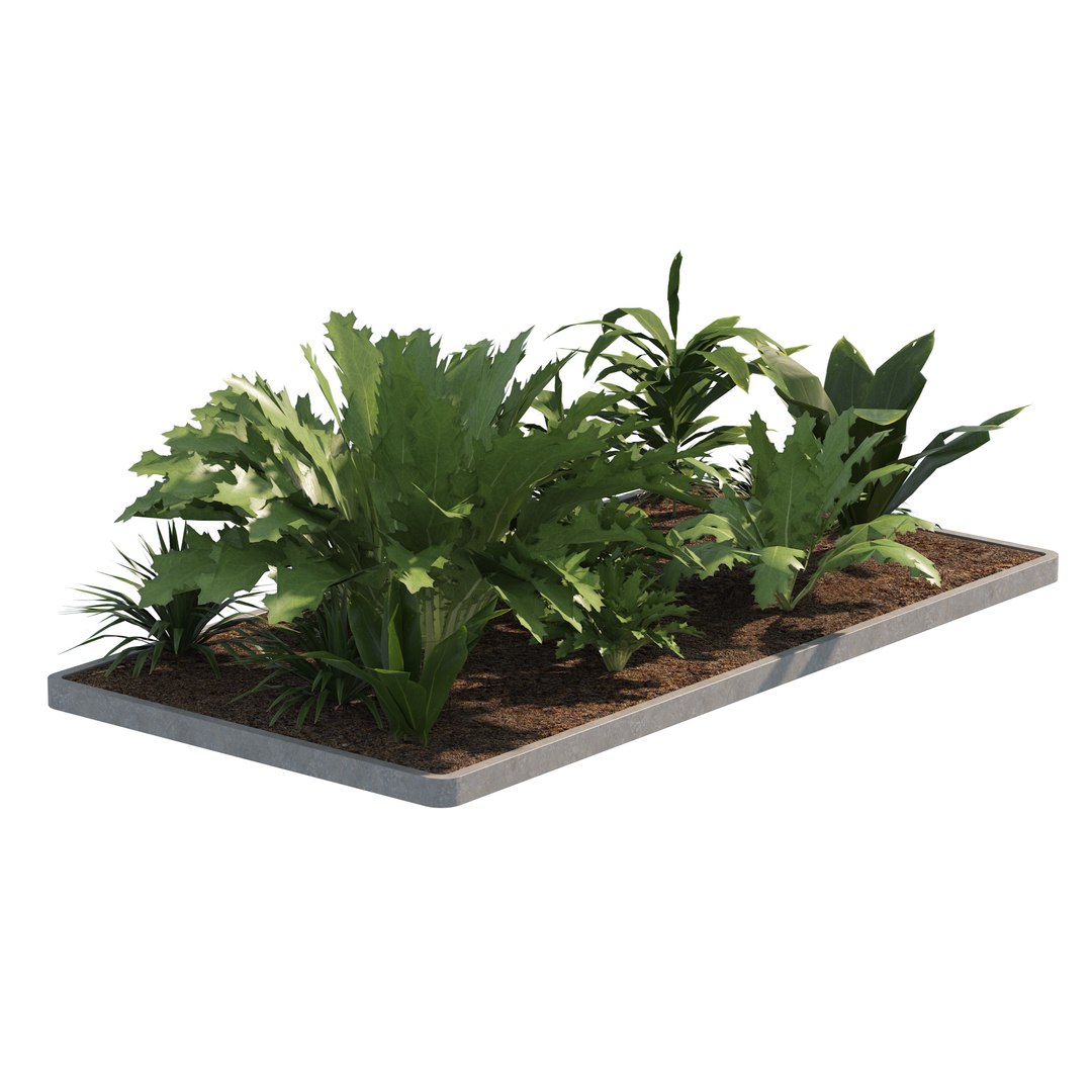 3D Tropical vegetation 3D model model - TurboSquid 2104844