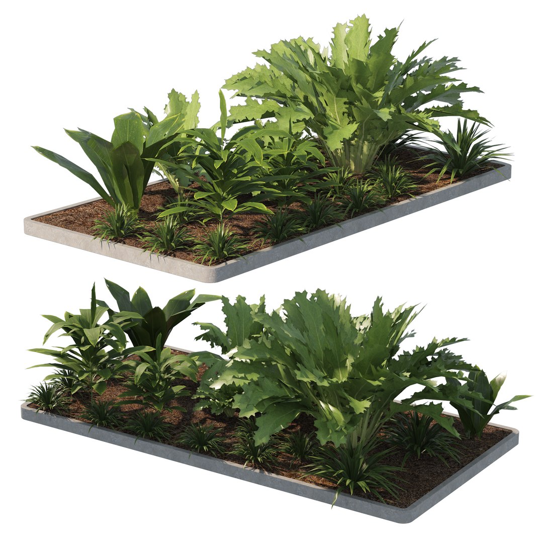 3D Tropical vegetation 3D model model - TurboSquid 2104844