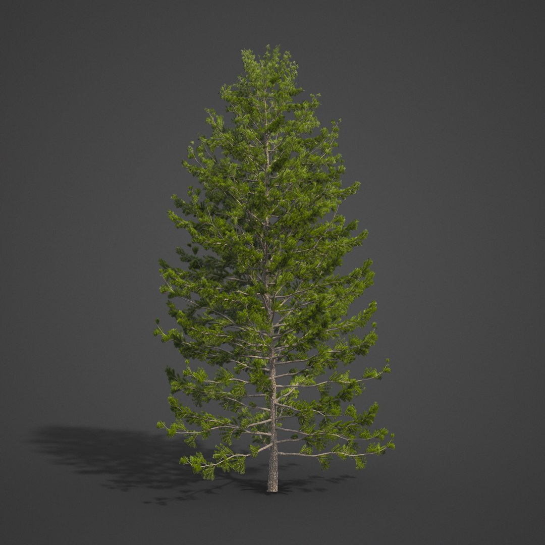3D tree - TurboSquid 1675001