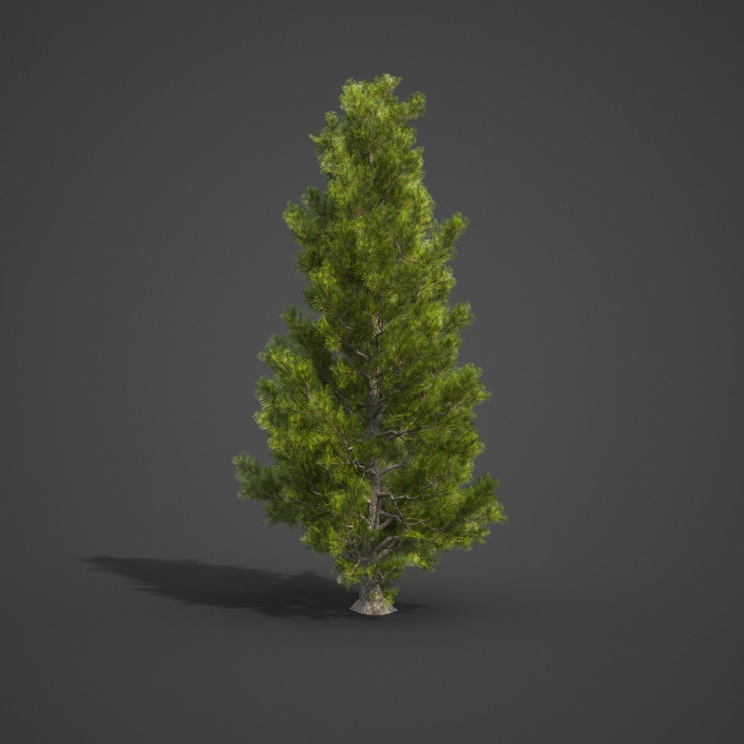 3D tree - TurboSquid 1675001