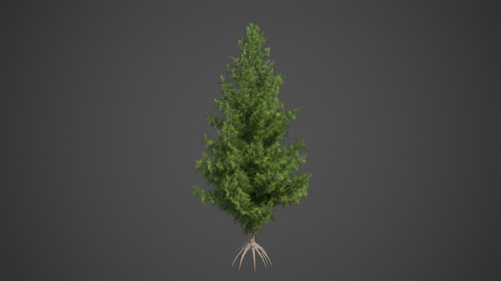 3D tree - TurboSquid 1675001