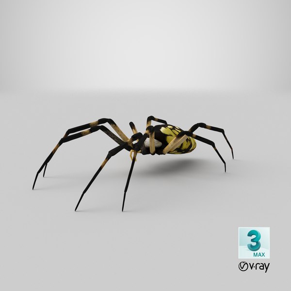 Argiope aurantia yellow garden 3D model - TurboSquid 1185818