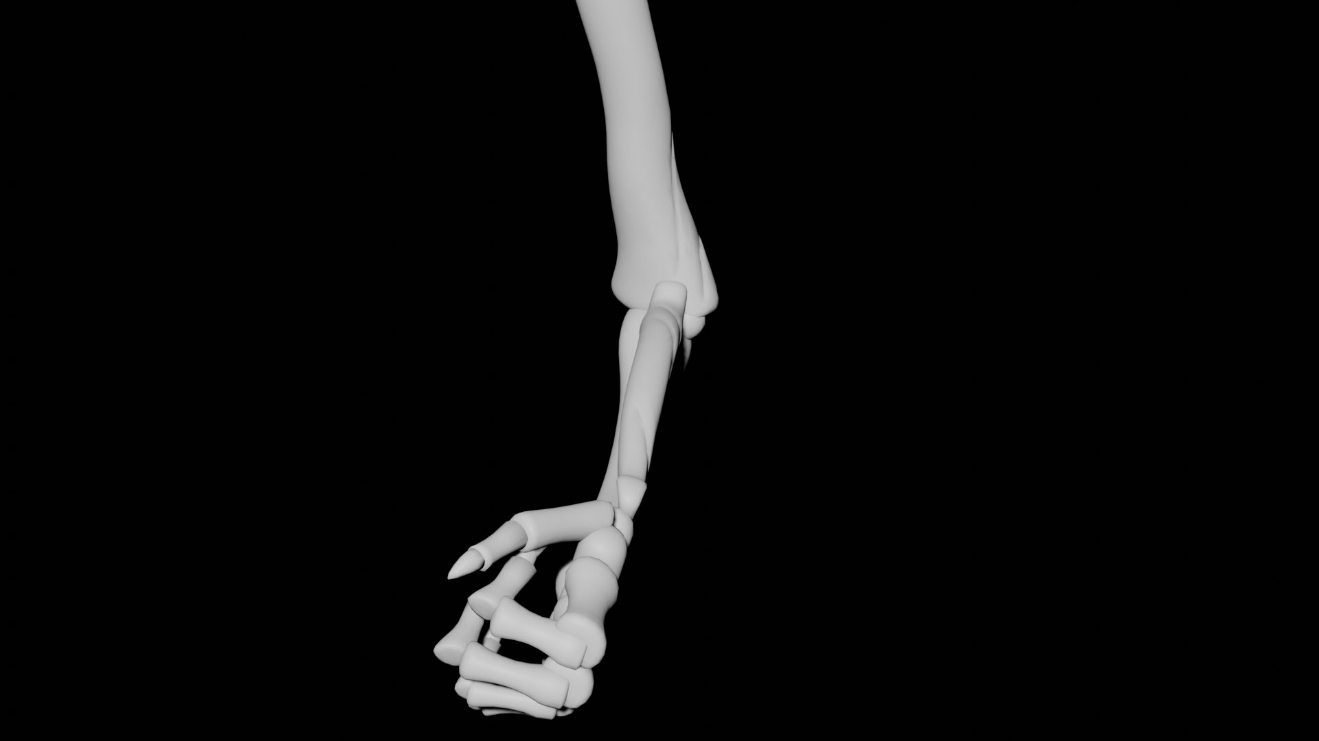 3D Rigged Skeleton Hand Model - TurboSquid 1837489