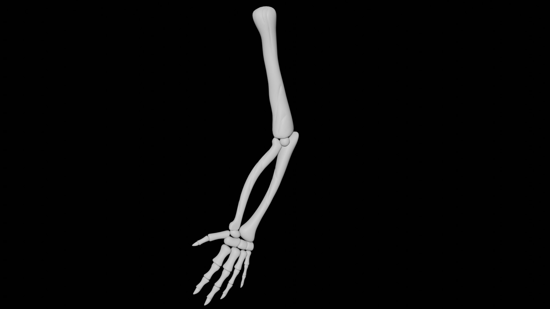3D Rigged Skeleton Hand Model - TurboSquid 1837489